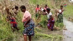 Chief Chinyama Sends SOS after Floods - Zambia Reports